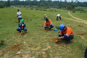 Media Information | ESL Steel